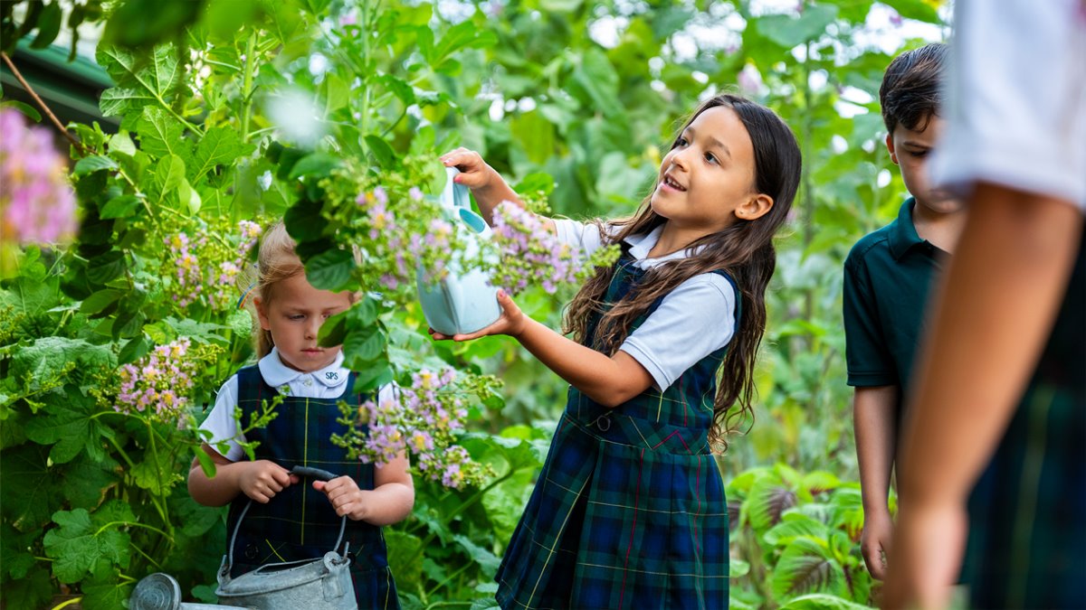 Welcome to The Experiential School (Ages 3-5) | Shorecrest Preparatory ...