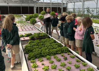 Second Grade Experiences Fat Beet Farm | News | Shorecrest Preparatory ...