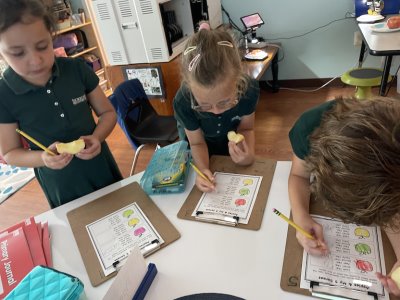 Exploring Apples and 5 Senses in First Grade | News | Shorecrest ...