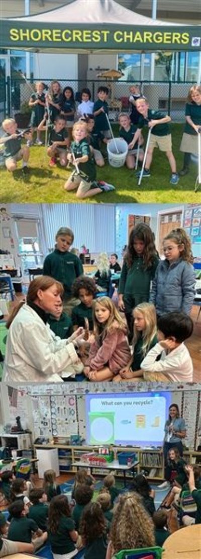 First Grade Dives Deep into Ocean Study | News | Shorecrest Preparatory ...